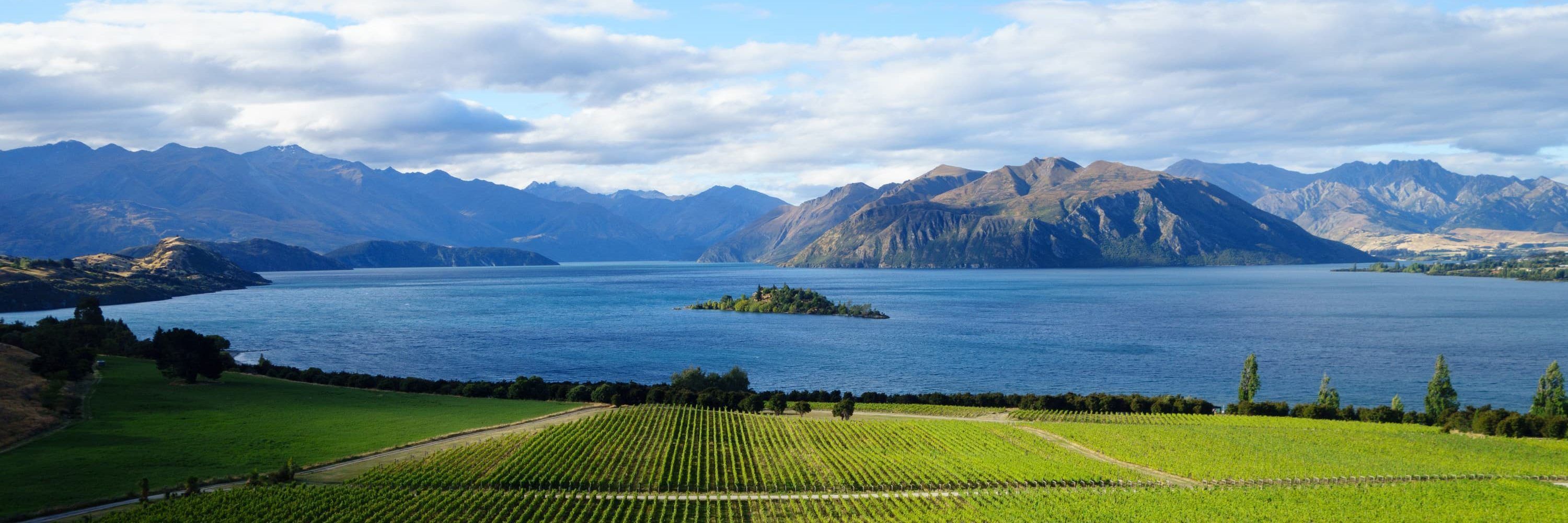 Contact Us | Lakeshore Springs Wanaka
